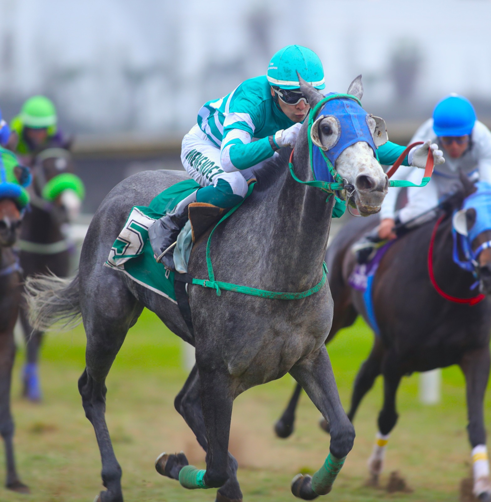 Perla Mora exhibió su atropellada - Haras Rancho Fatima